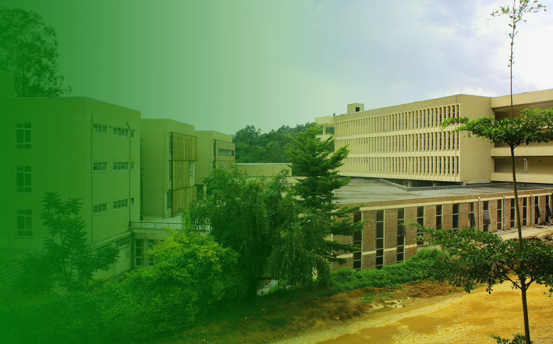 Homepage - Mizan-Tepi University | Light of the Green Valley